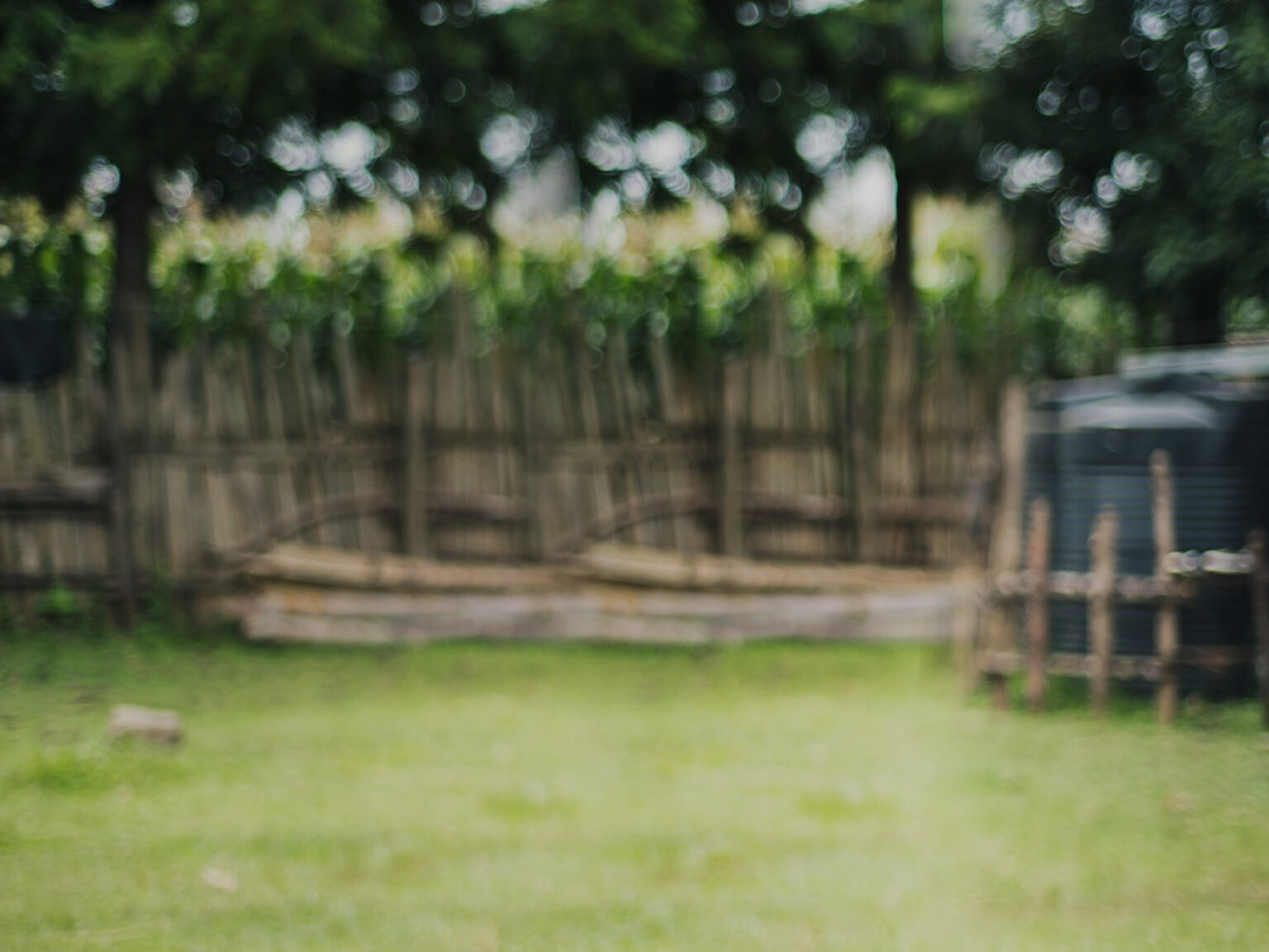 Media Center - Accion