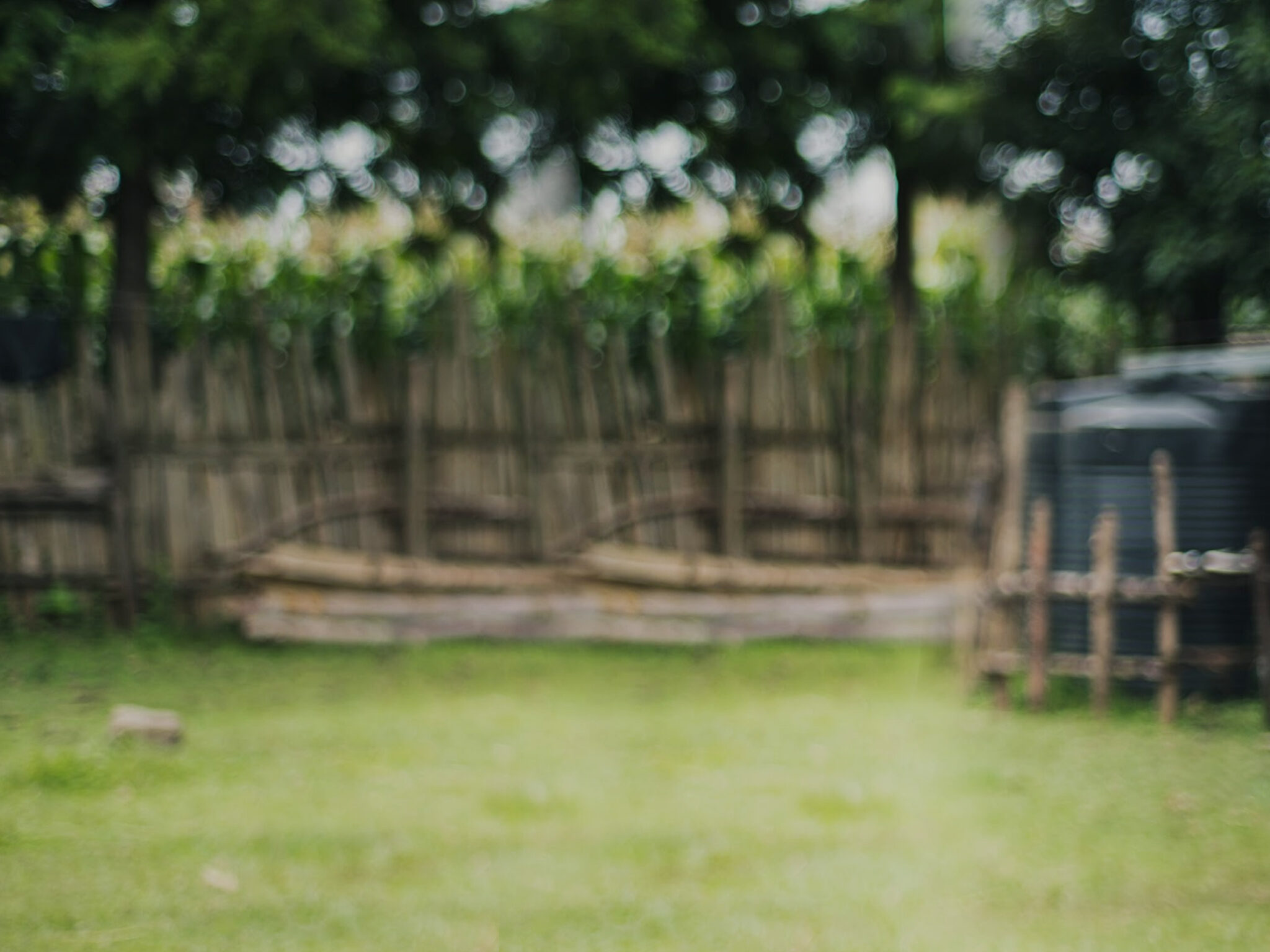 Media Center - Accion